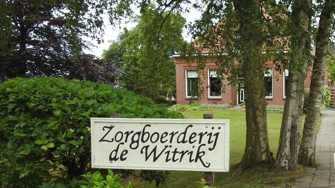 Open dag zorgboerderij de Witrik in Twijzelerheide - RTV NOF Nieuws Open dag zorgboerderij de Witrik in Twijzelerheide - RTV NOF Nieuws