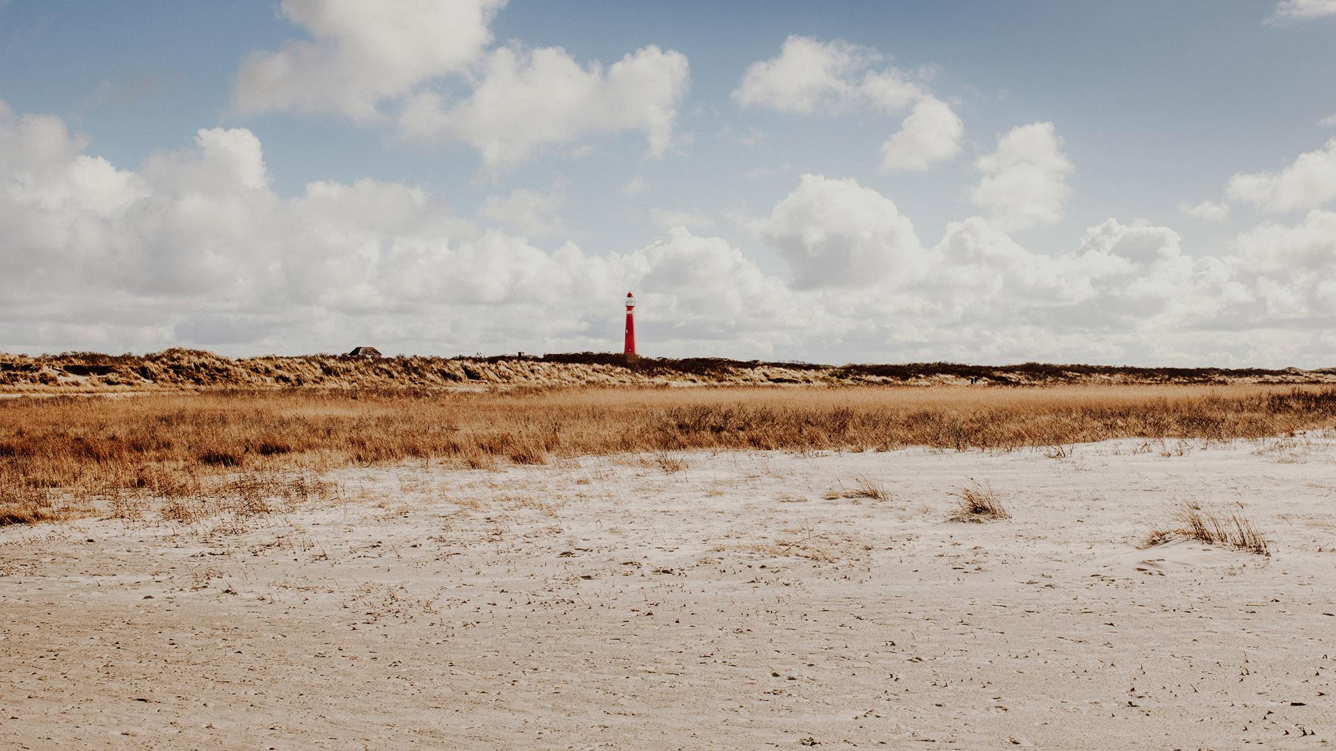 VIDEO: Visit Wadden overkoepelende merk voor waddenkust én eilanden ... VIDEO: Visit Wadden overkoepelende merk voor waddenkust én eilanden ...