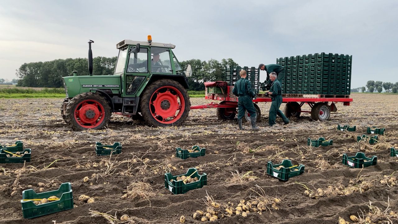 VIDEO: Rooien van aardappels bij Metslawier weer hervat na regenval ...