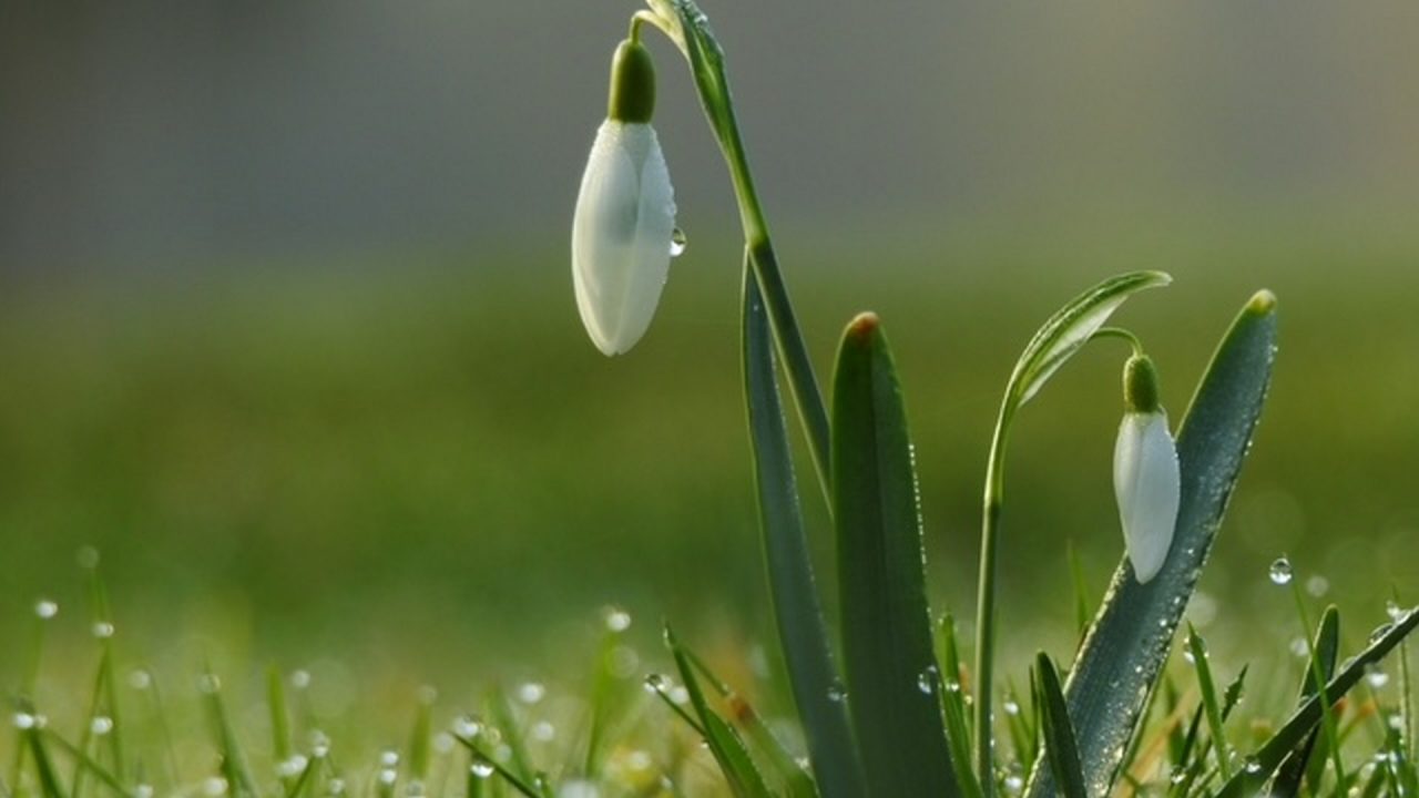Dit kun je het beste dragen tijdens warme dagen en andere tips voor ...