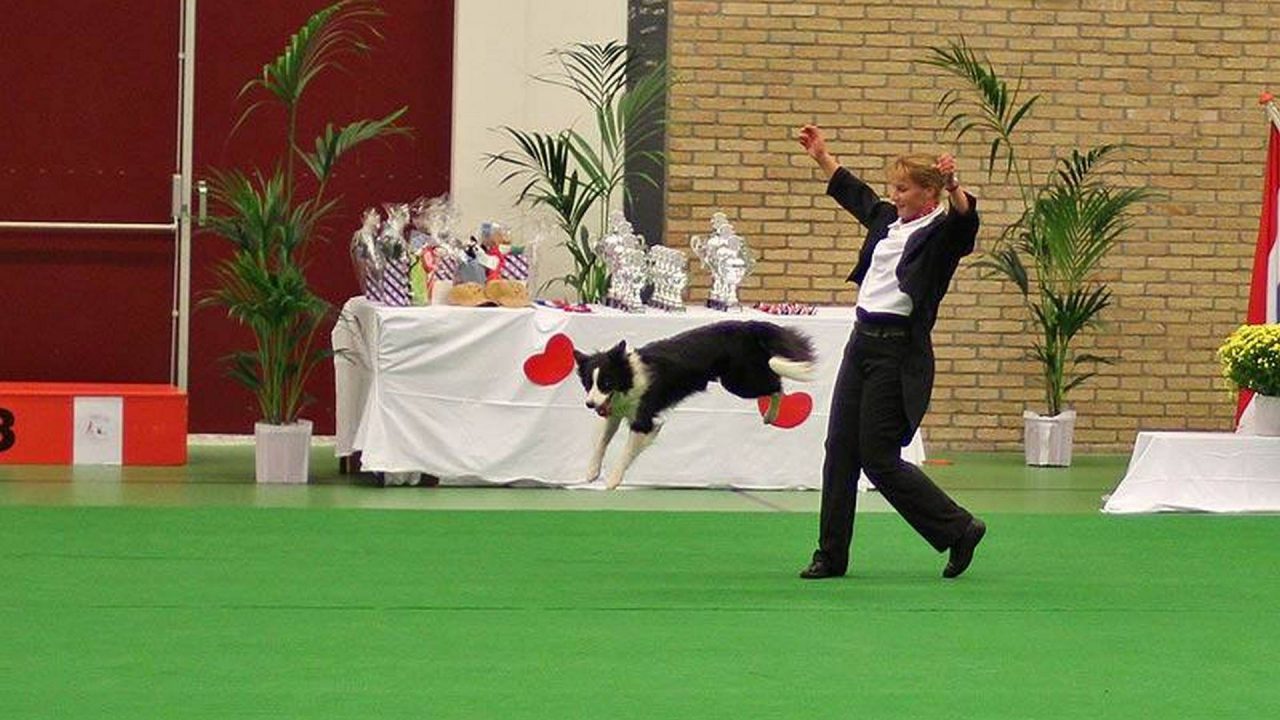 Europees Kampioenschap Dog Dance - RTV NOF Nieuws