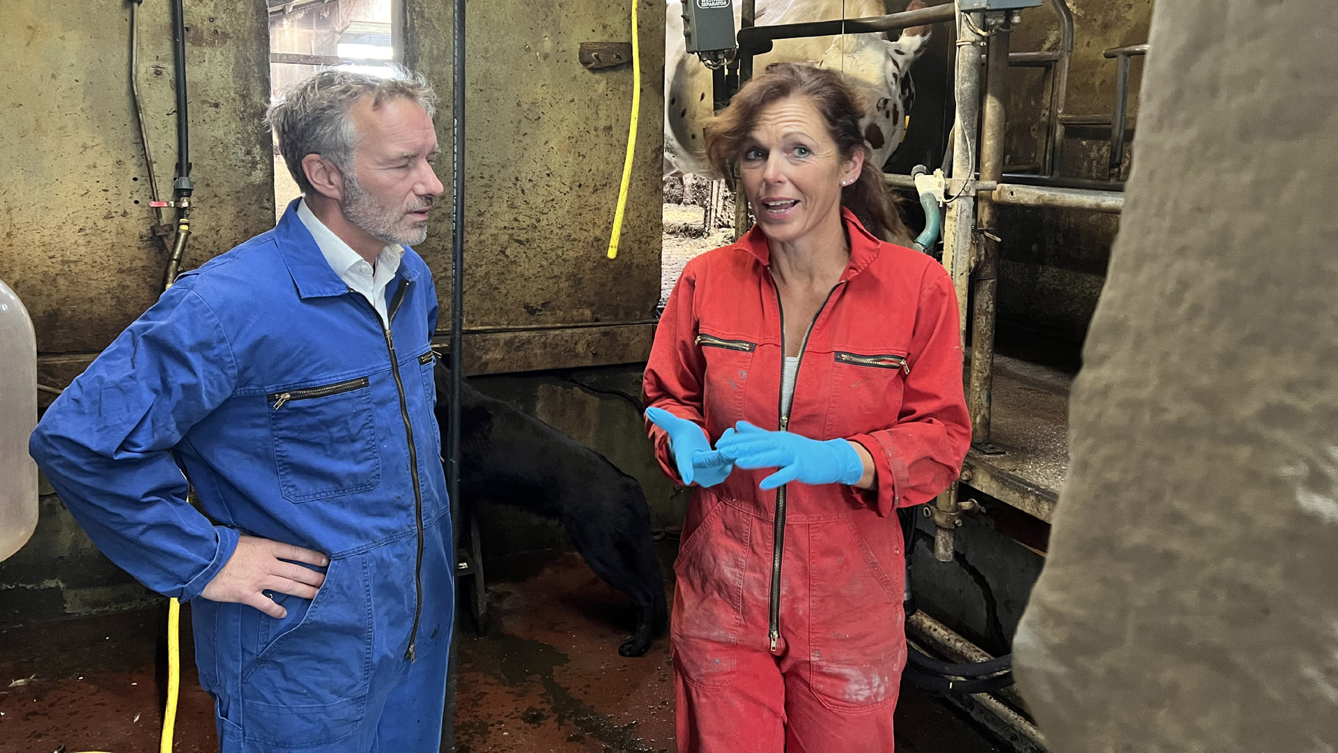 INGEZONDEN: Tweede Kamerlid Van Haga bezoekt Fryslân - RTV NOF Nieuws INGEZONDEN: Tweede Kamerlid Van Haga bezoekt Fryslân - RTV NOF Nieuws