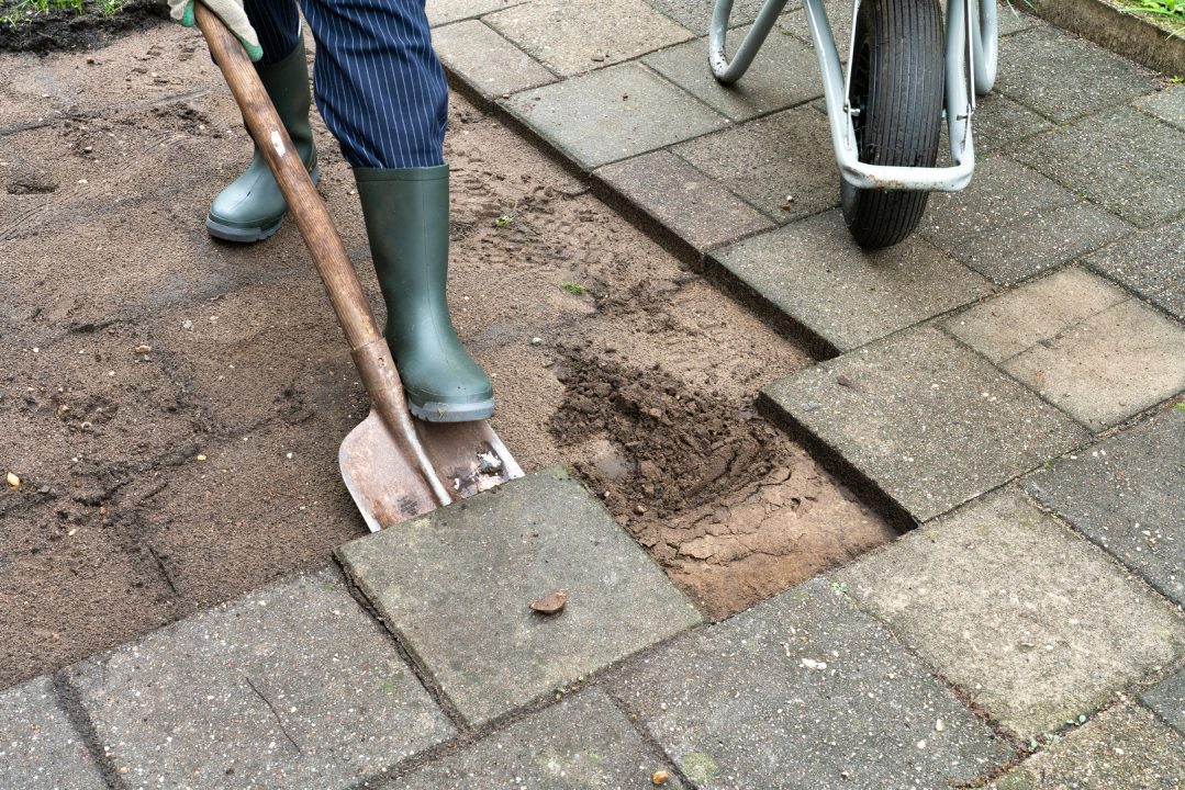Meer groen door actie Steenbreek en Geveltuin in Noardeast-Fryslân ...