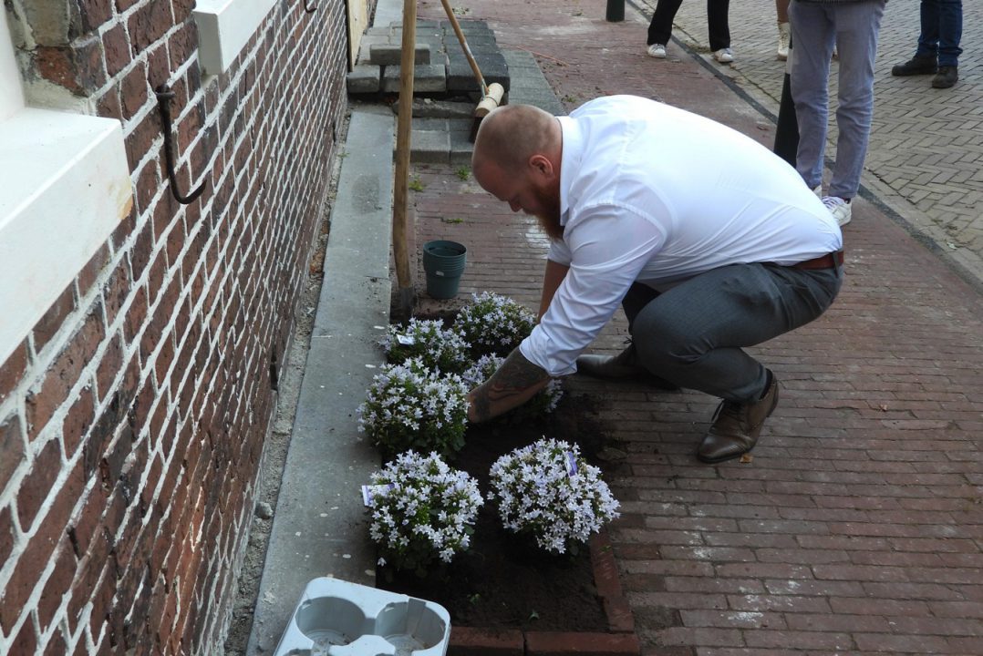 Minder stoeptegels, meer bloemen en planten - RTV NOF Nieuws