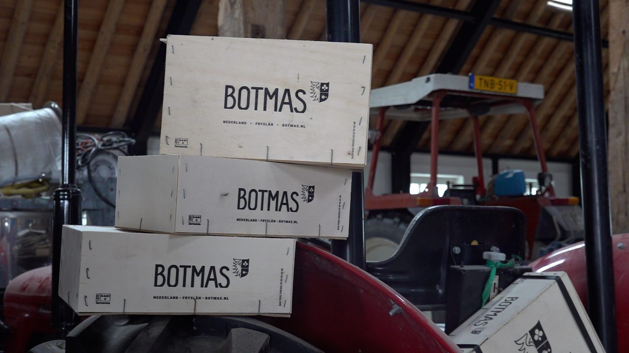 VIDEO: Botmas levert gezonde maaltijden voor de medewerkers van Probo ...