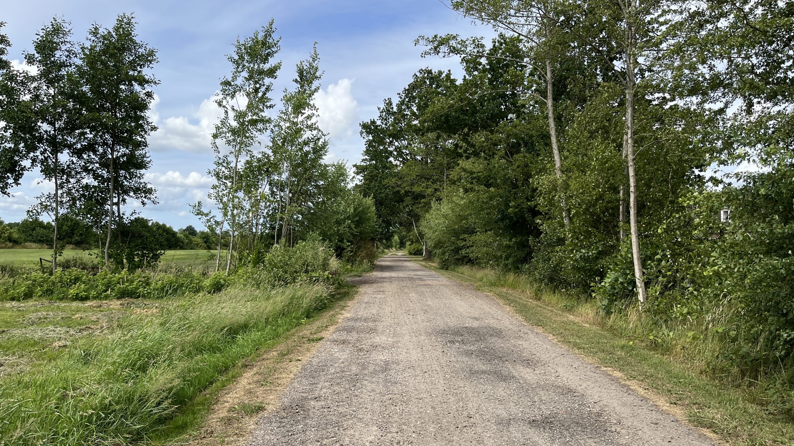 Ouders van doodgeschoten Andries (28) uit Boelensloane willen meer ...