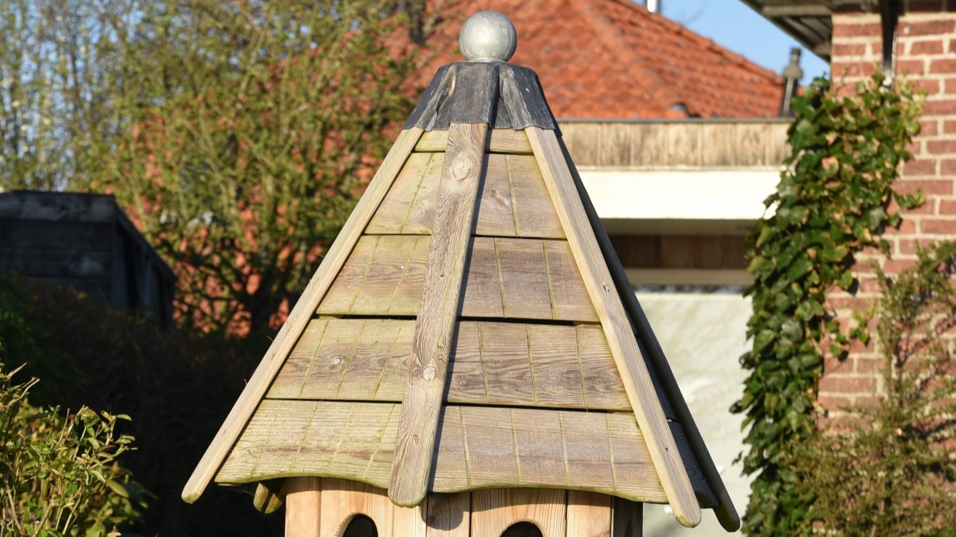 TE ZIEN IN… Aflevering 275: Bijzondere til in Wyns trekt vele ...