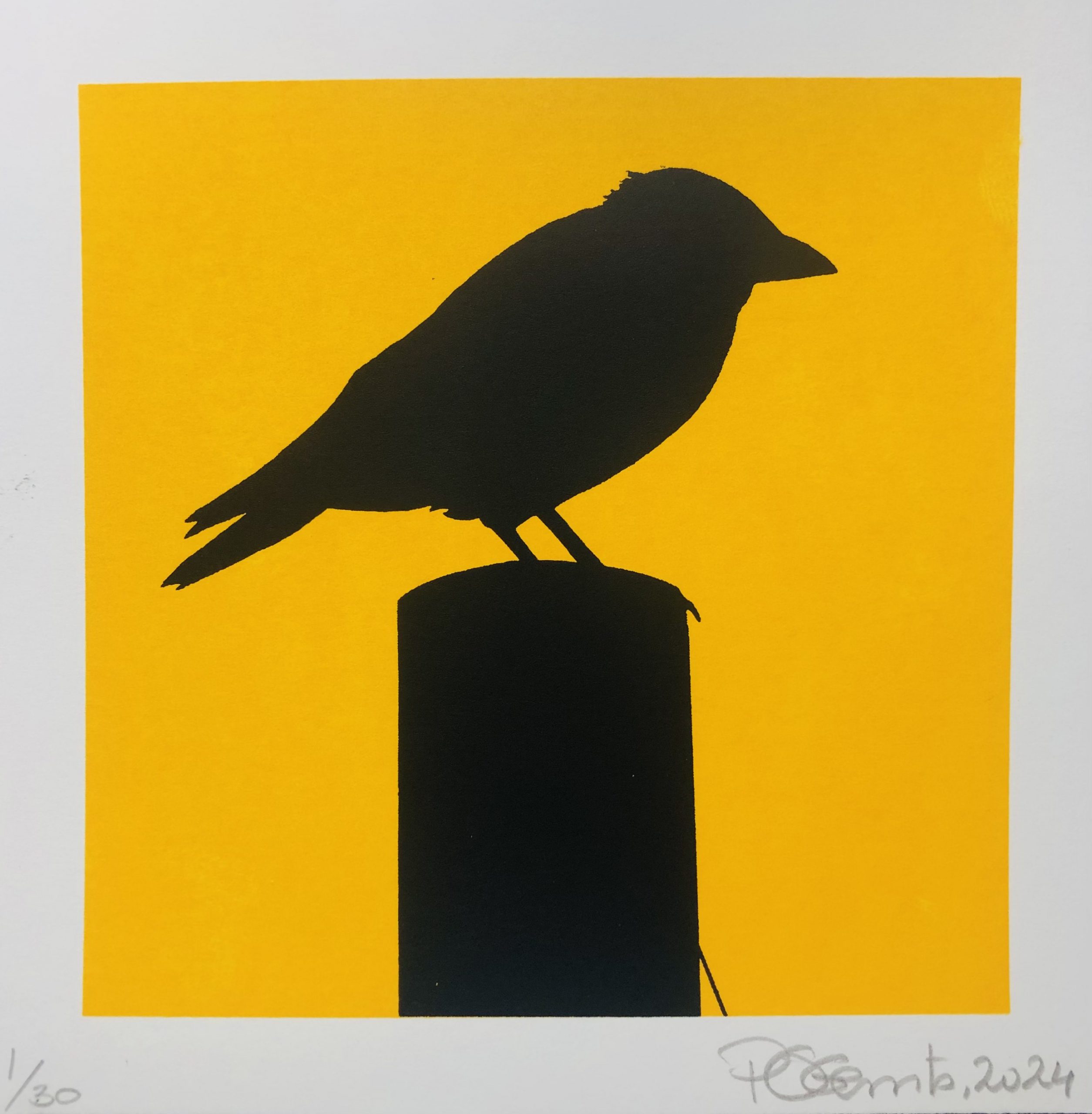 Expositie Zeefdrukken Peter O. Gerrits - RTV NOF Nieuws