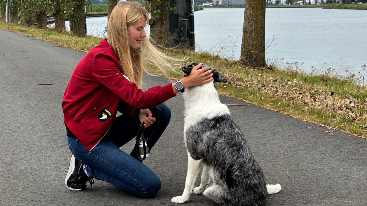 Marit wil bordercollie Kyra opleiden tot hulphond om te overleven ...