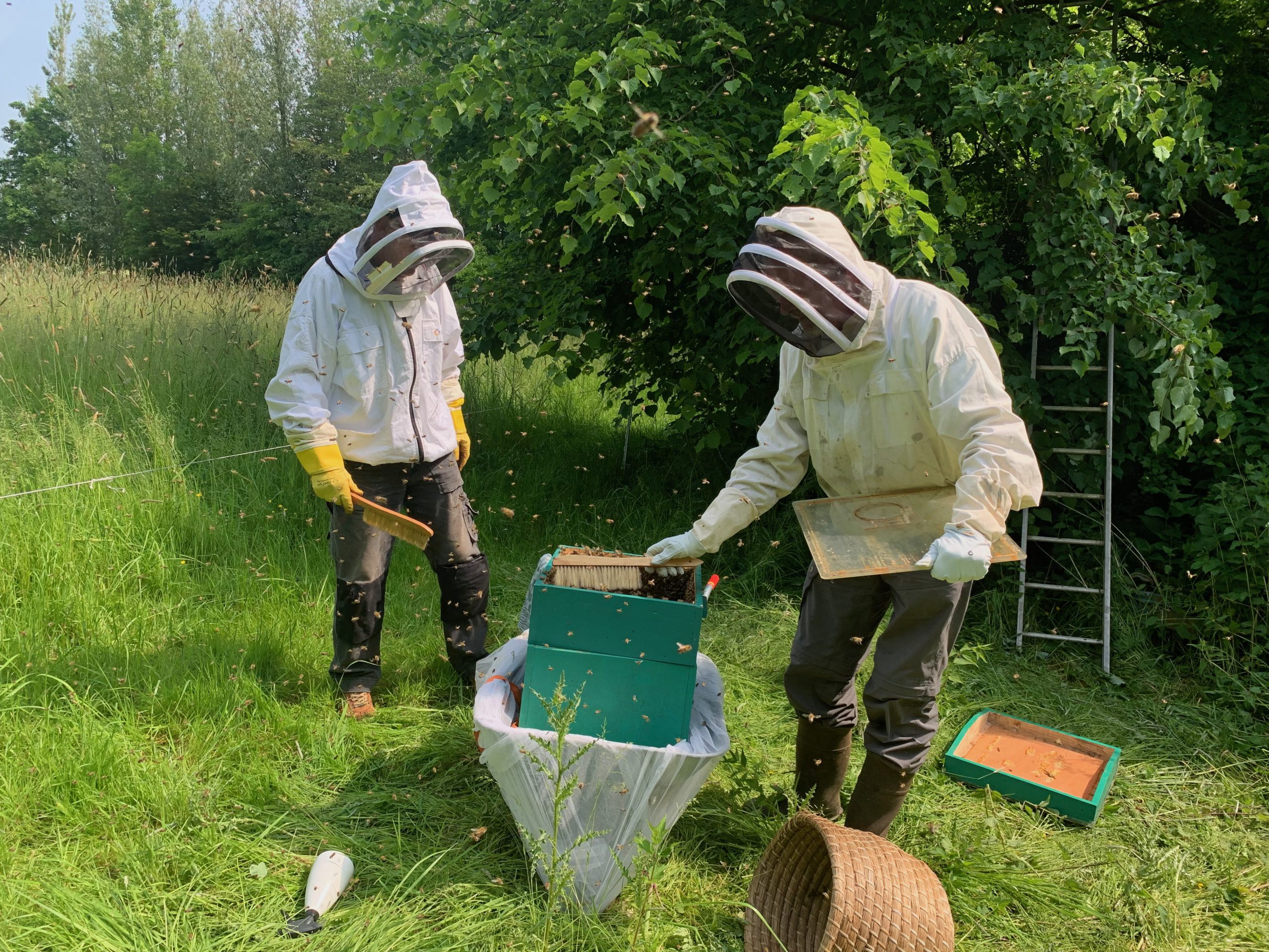 Op bezoek bij de Imker - RTV NOF Nieuws
